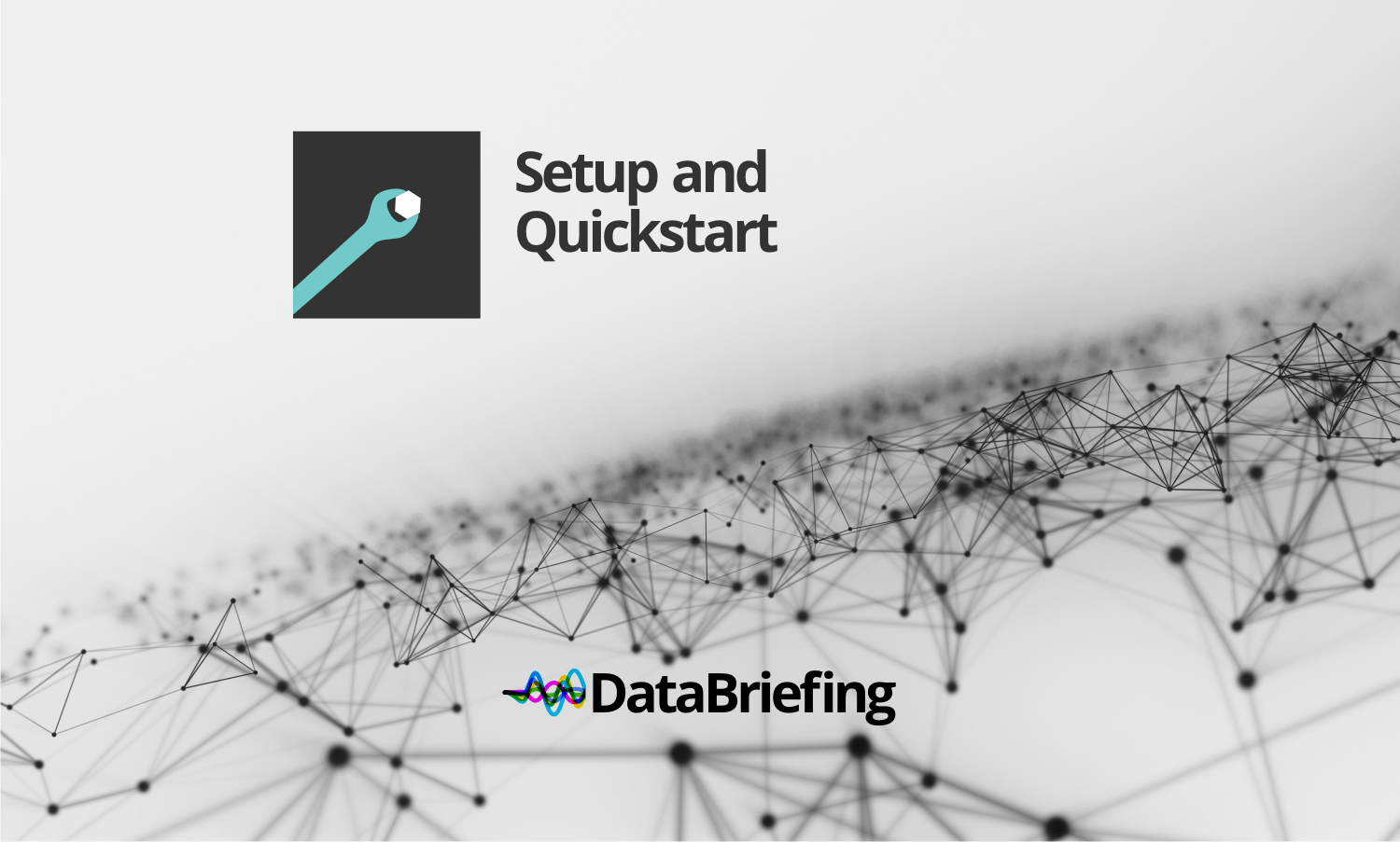 Setup and Quickstart | DataBriefing